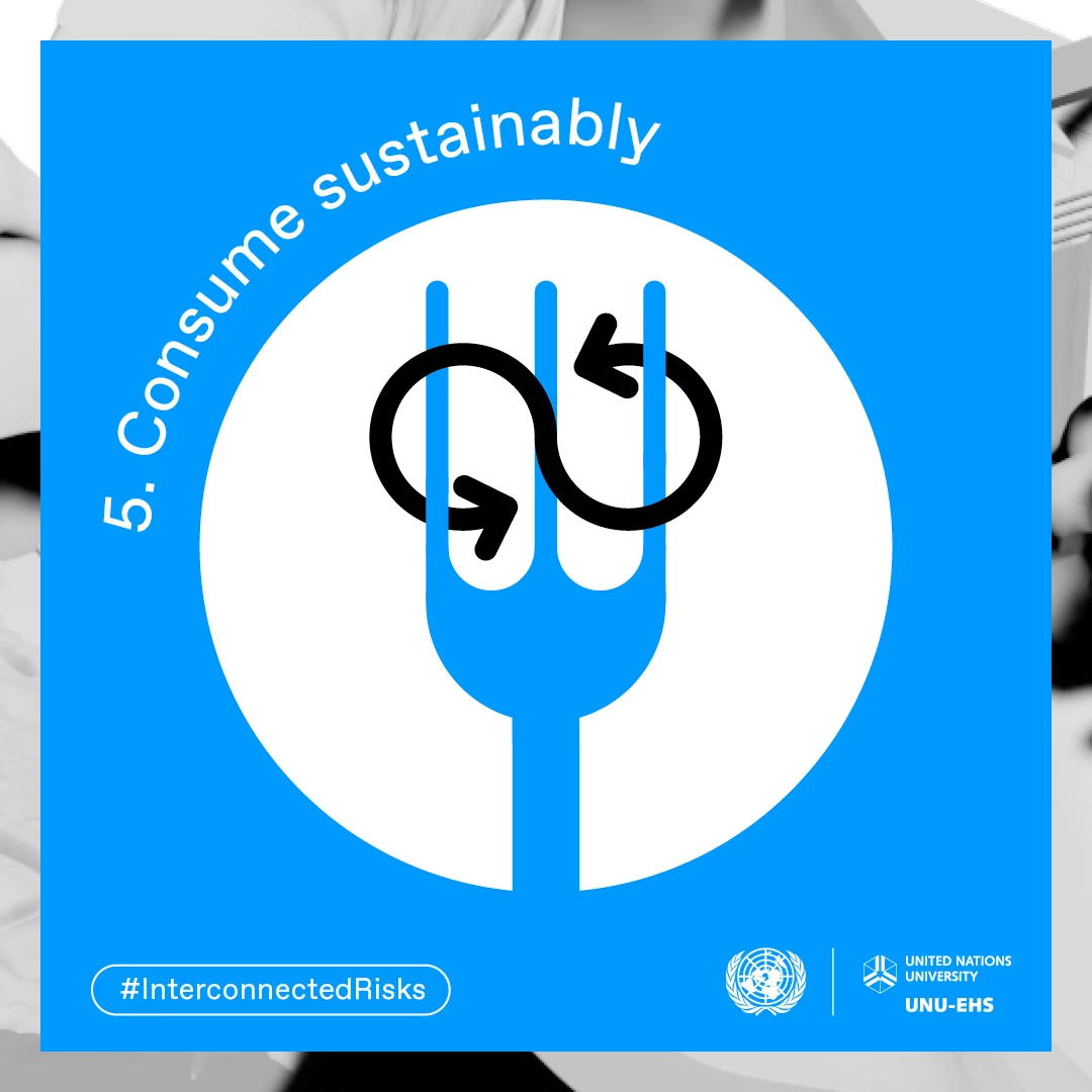 United Nations University – Visualising interconnected disasters | TEMPLO