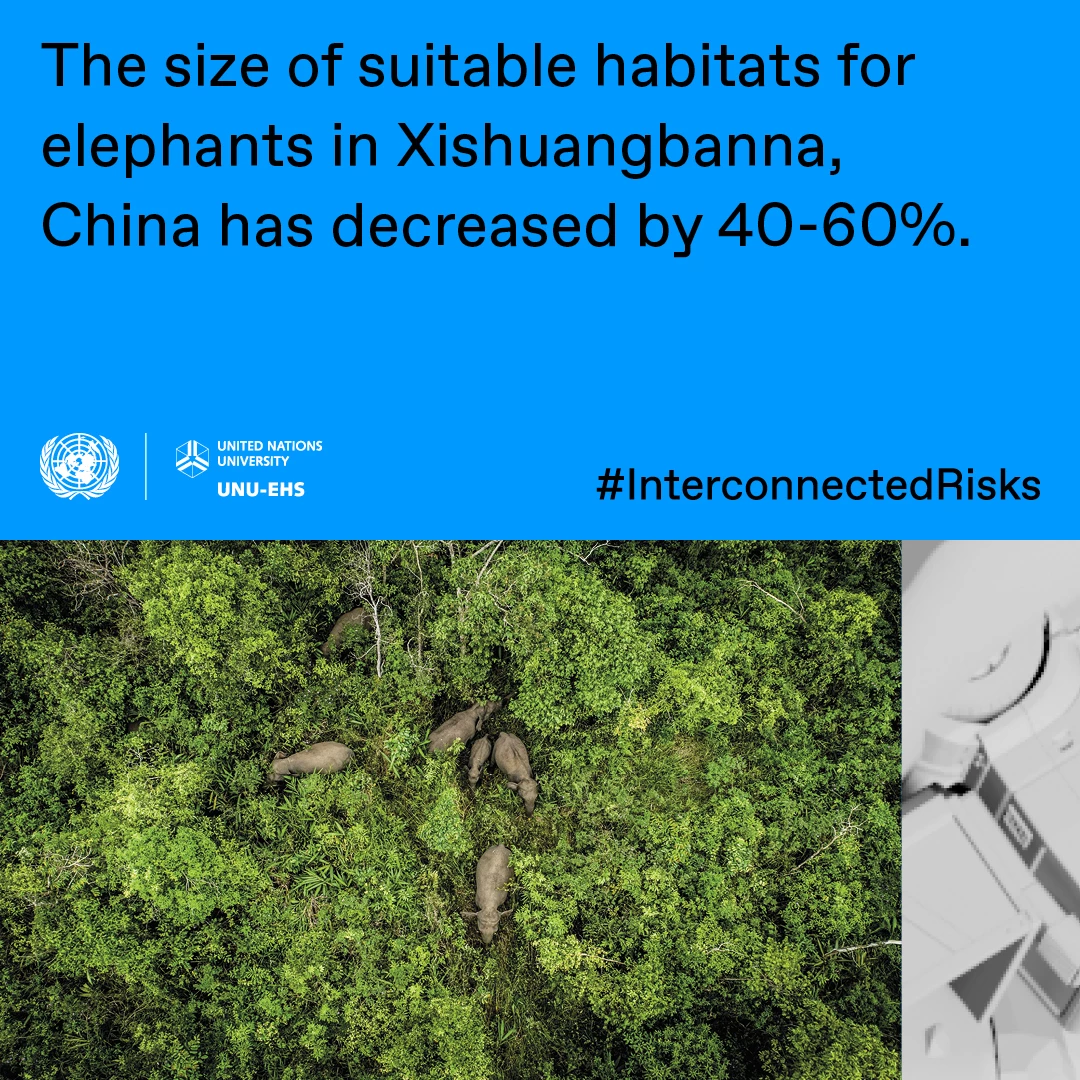 United Nations University – Visualising interconnected disasters | TEMPLO